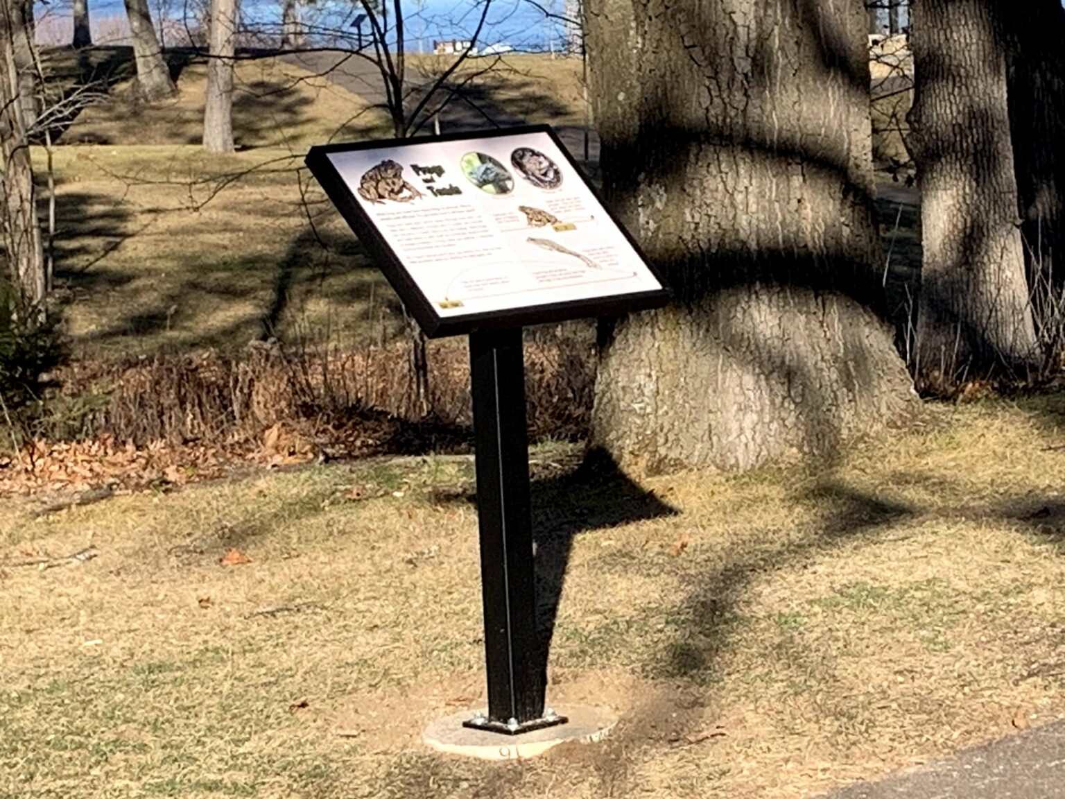 Angle Mount Exhibits – Nature Walk Signs